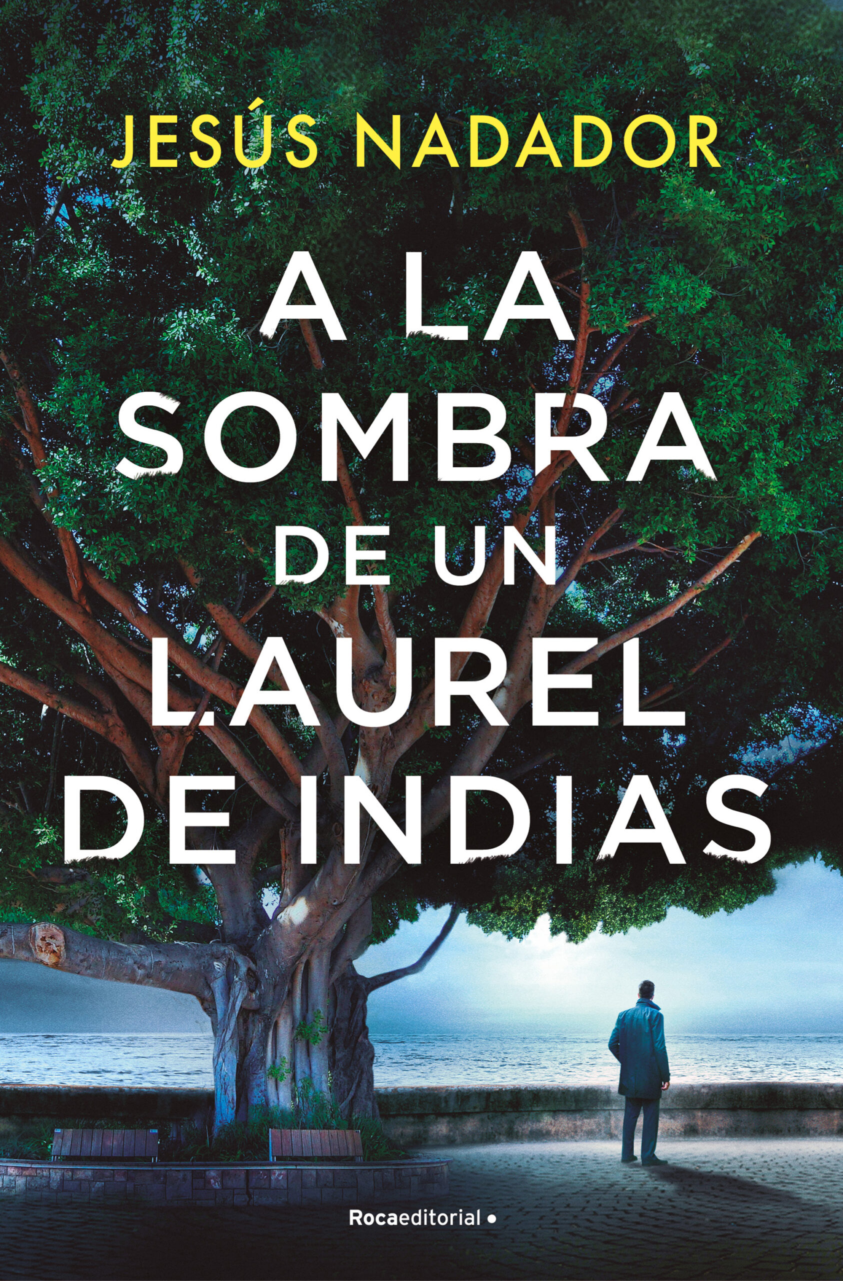 Presentación de la novela «A la sombra de un laurel de Indias», de ...